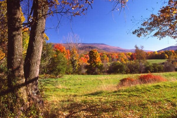13 Best Fall Vacations in the US: From Foliage to Festivals - Kate Crossing
