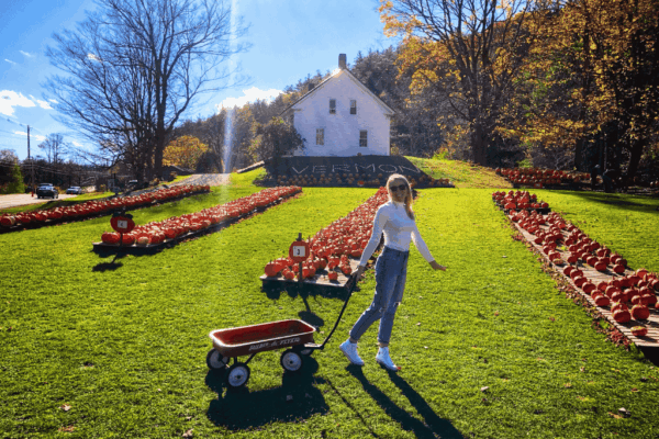 21 Bucket List Things To Do In Vermont In The Fall - Kate Crossing