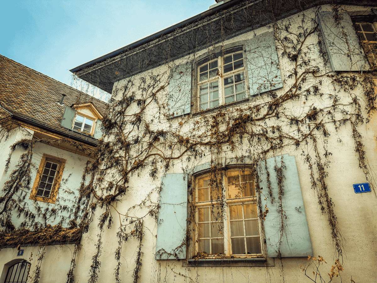 Is Basel Worth Visiting or Should You Skip It? My Honest Opinion - Kate ...